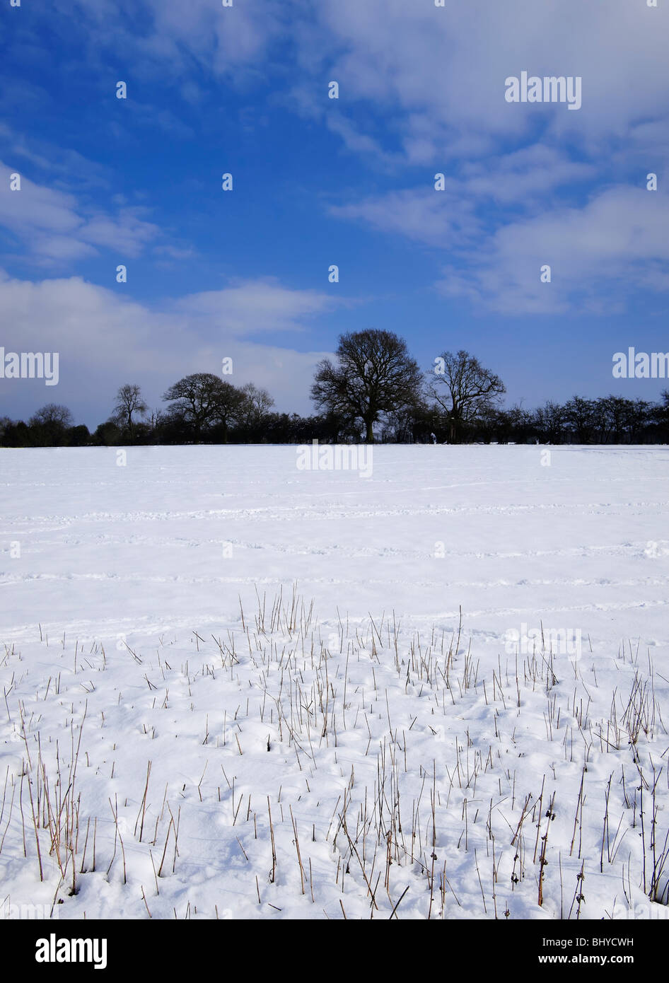 A snow covered rural landscape in the countryside Stock Photo - Alamy