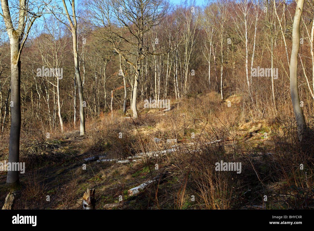 Ovingham northumberland hi-res stock photography and images - Alamy