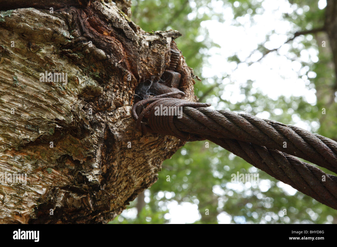 Remnants of a cable bridge along the Beebe River in Campton, New ...