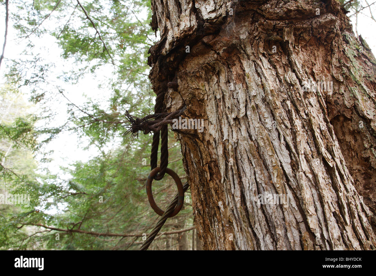 Remnants of a cable bridge along the Beebe River in Campton, New ...