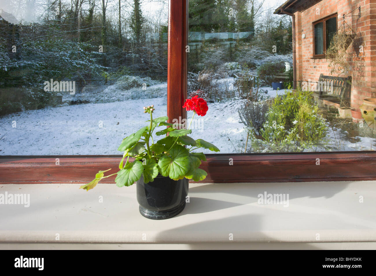 conservatory tables chairs plants room in house next to garden Stock ...