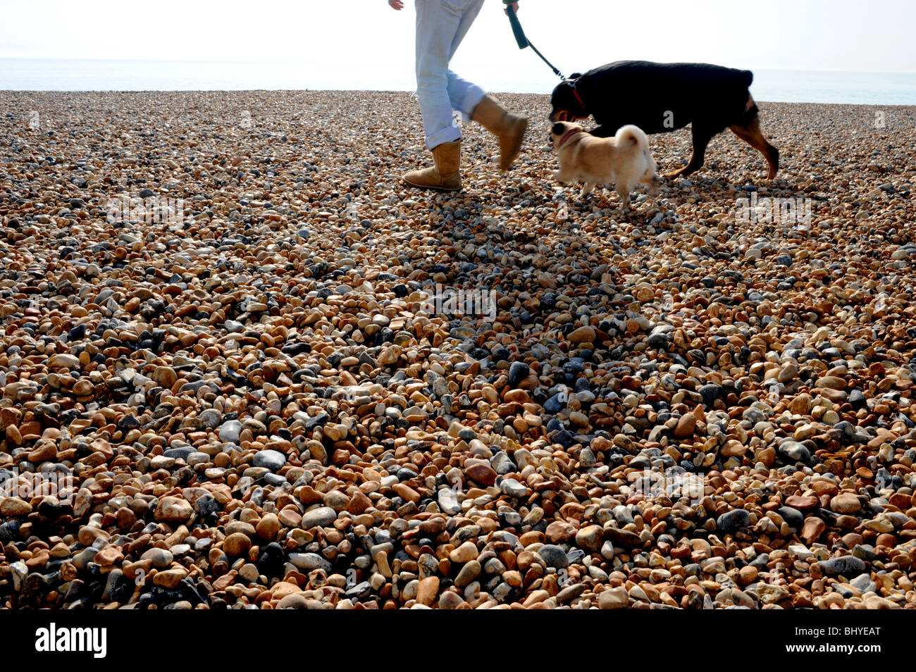 Woman walks on pebble beach hi-res stock photography and images - Alamy