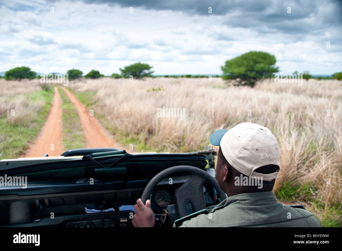 Game Drive/Safari with Ranger Stock Photo - Alamy
