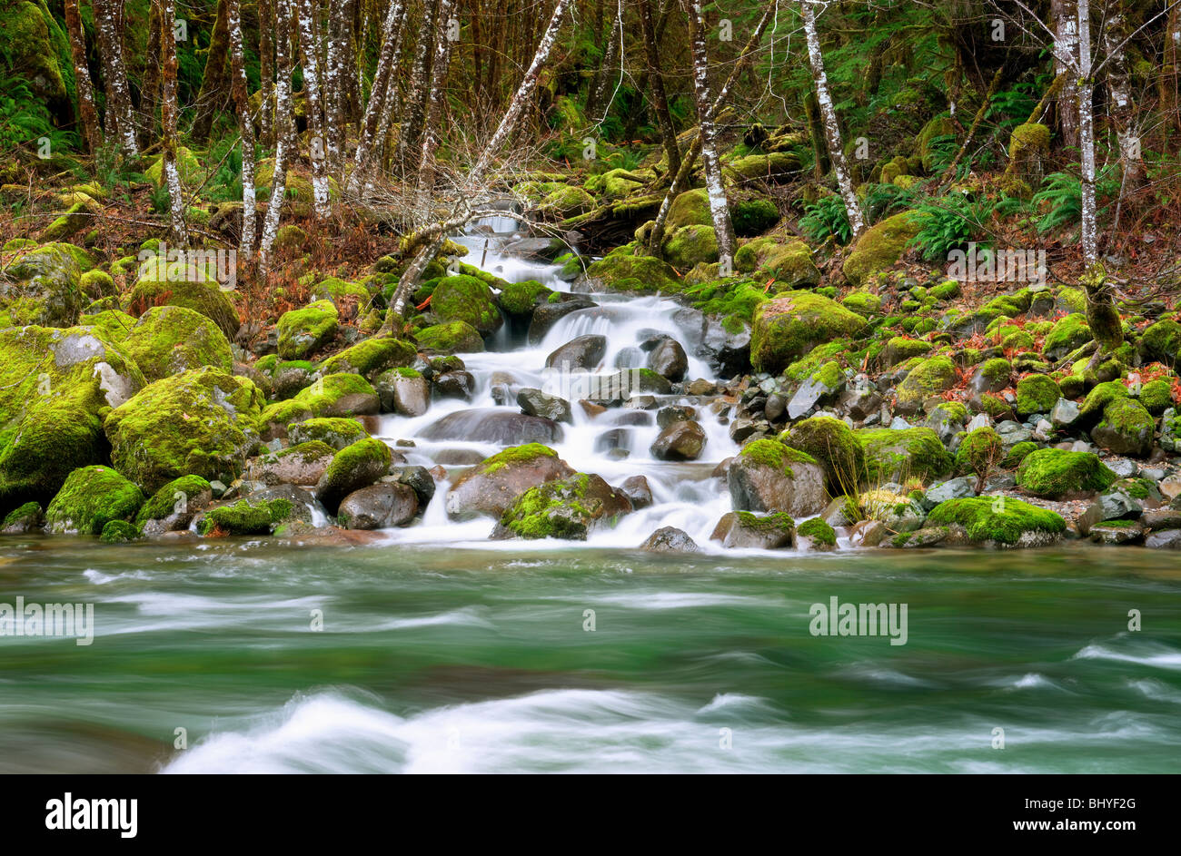 Quartzville hi-res stock photography and images - Alamy