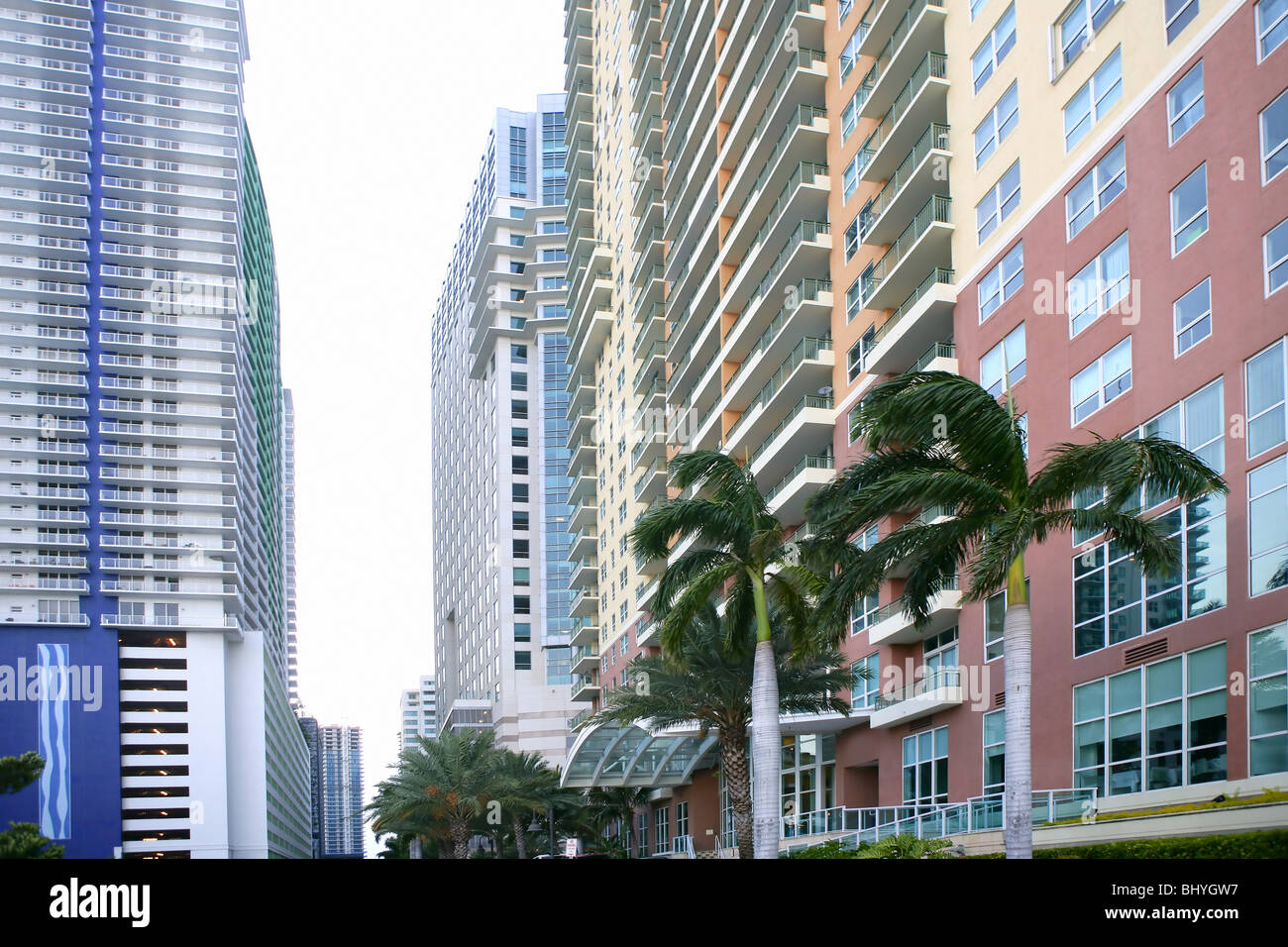 Miami downtown city with colorful buildings and palm trees Stock Photo ...
