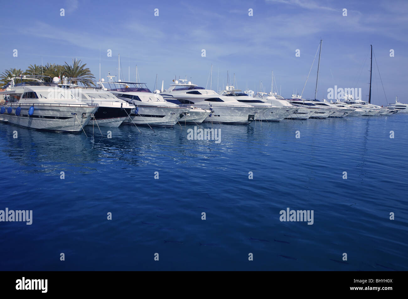 Yacht harbour puerto portals hi-res stock photography and images - Alamy