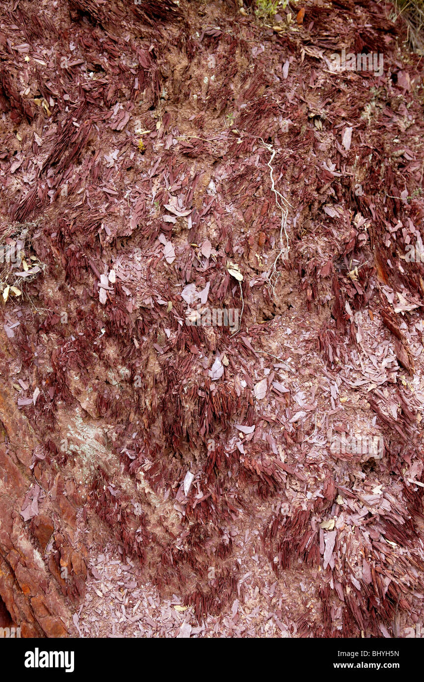 Natural mountain with red rodeno stone texture pattern Stock Photo - Alamy