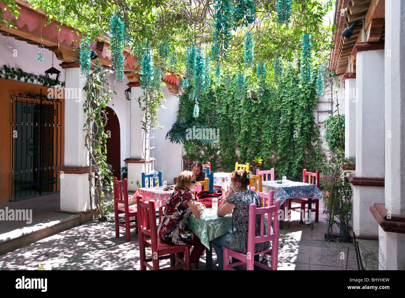 sunny vine shaded small courtyard restaurant with rustic chairs is a ...