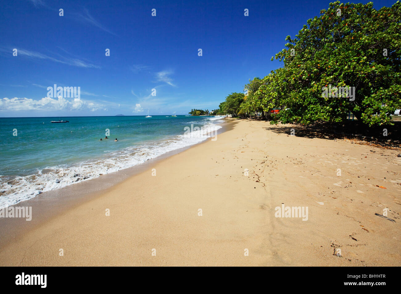 Rincon puerto rico hi-res stock photography and images - Alamy