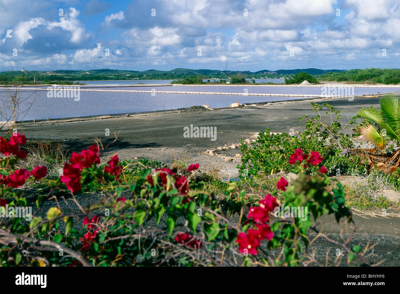 Salt Flats of Cabo Rojo, Puerto Rico Stock Photo - Alamy