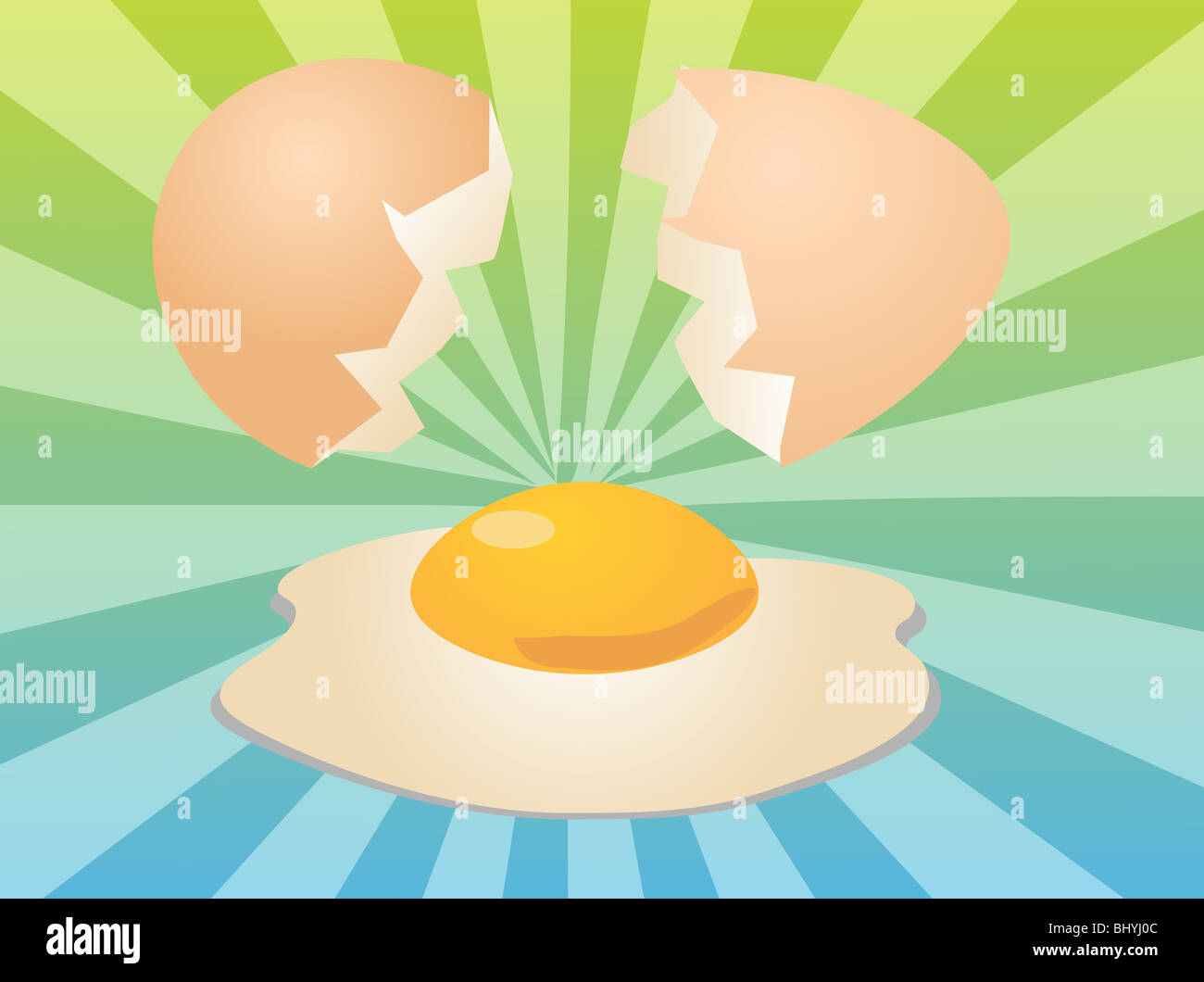 Egg Illustration Clipart Open Shell High Resolution Stock Photography ...