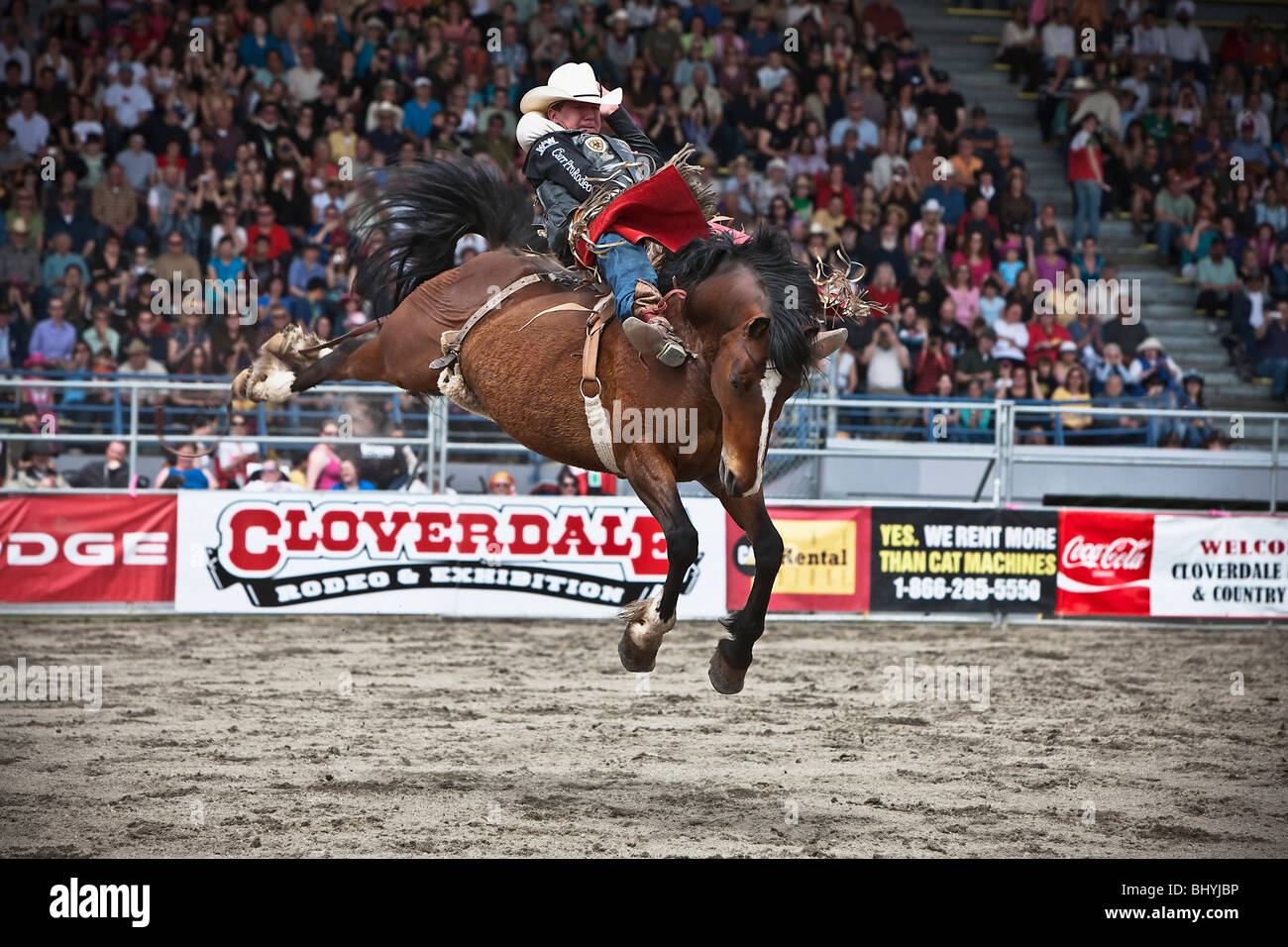 Cowboy riding a horses during Rodeo Stock Photo - Alamy