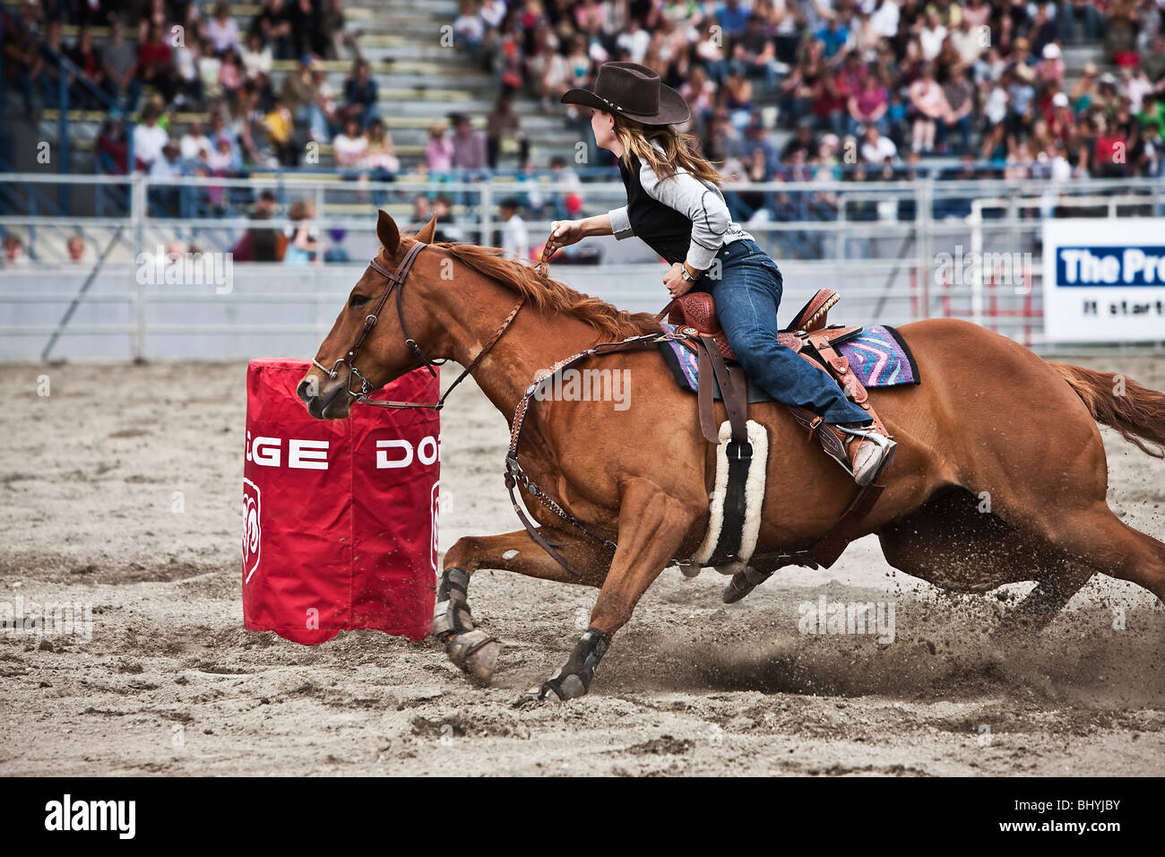 Cowgirl riding a horse during Rodeo Stock Photo - Alamy