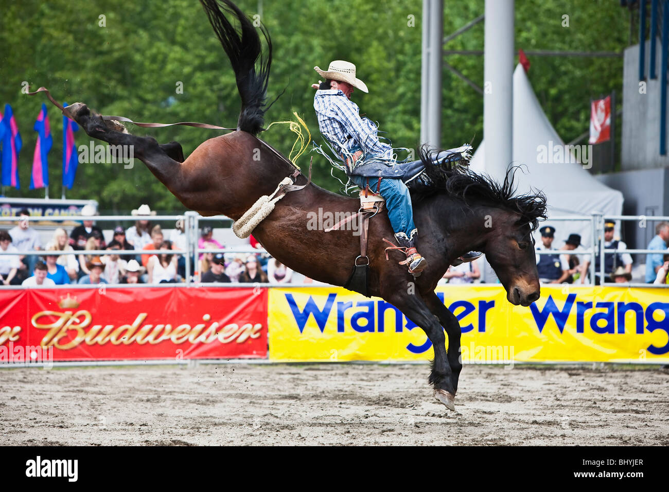 Cowboy riding a horses during Rodeo Stock Photo - Alamy