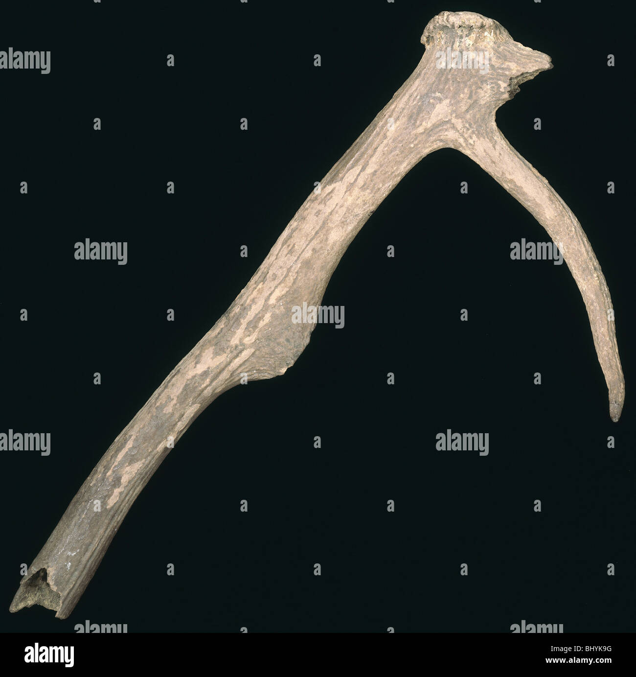 Antler pick hi-res stock photography and images - Alamy