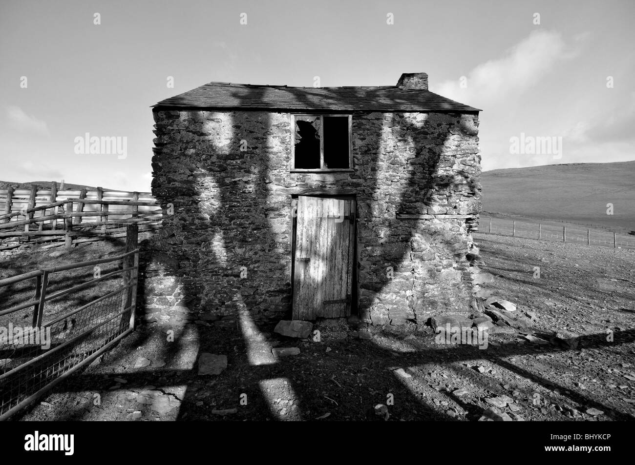 Old eerie Welsh barn with shadow of tree in Black and White Stock Photo ...