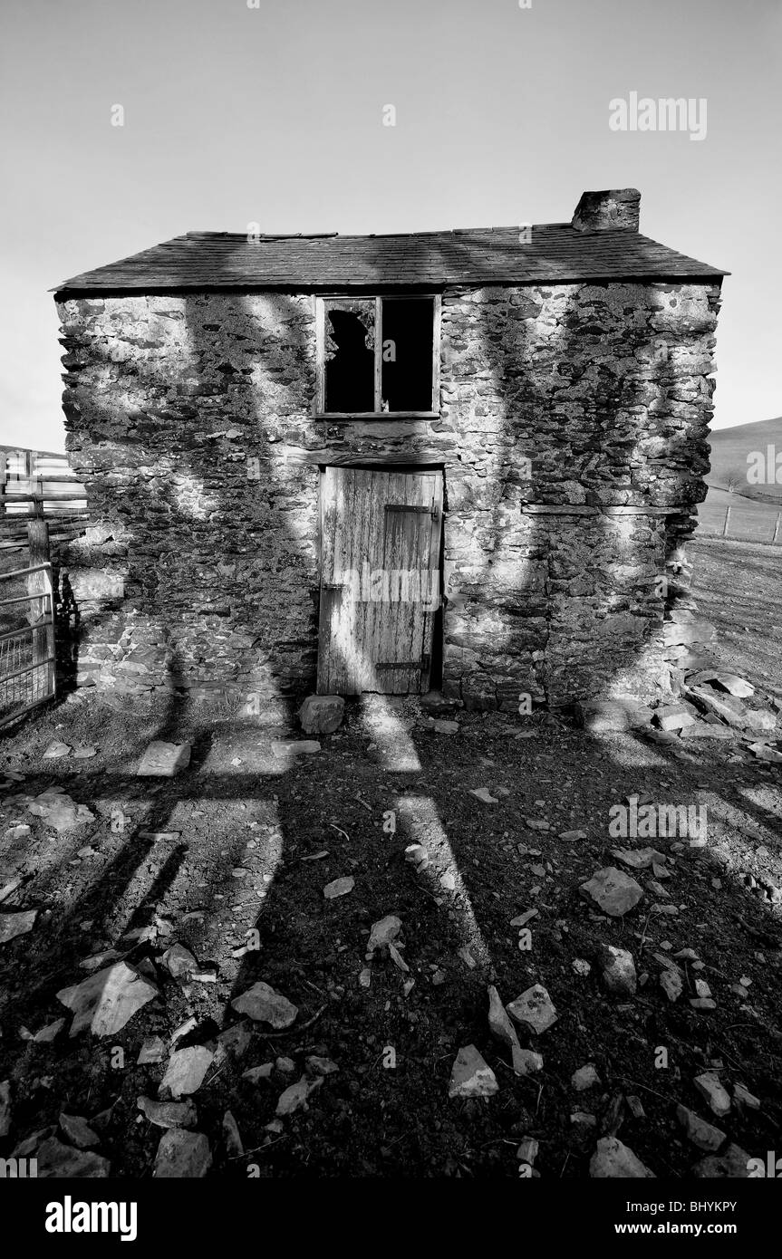 Old eerie Welsh barn with shadow of tree in Black and White Stock Photo ...