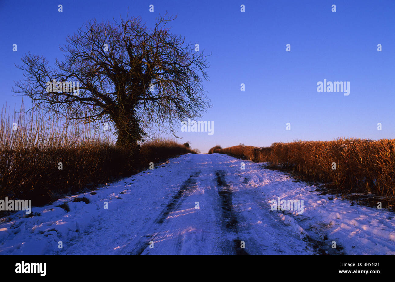 deep winter snow on country road at dusk near Leeds Yorkshire UK Stock ...
