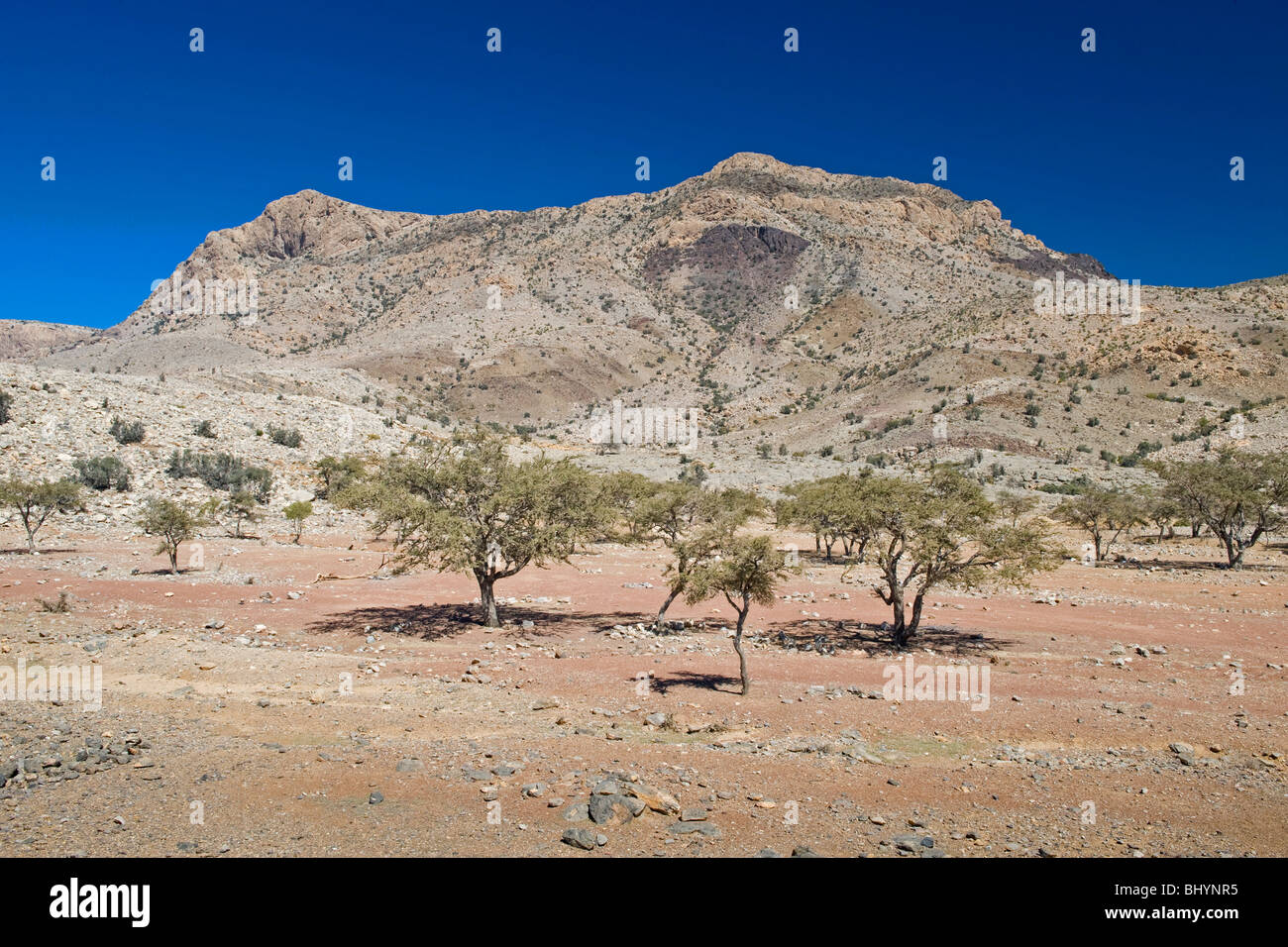Arid conditions hi-res stock photography and images - Alamy