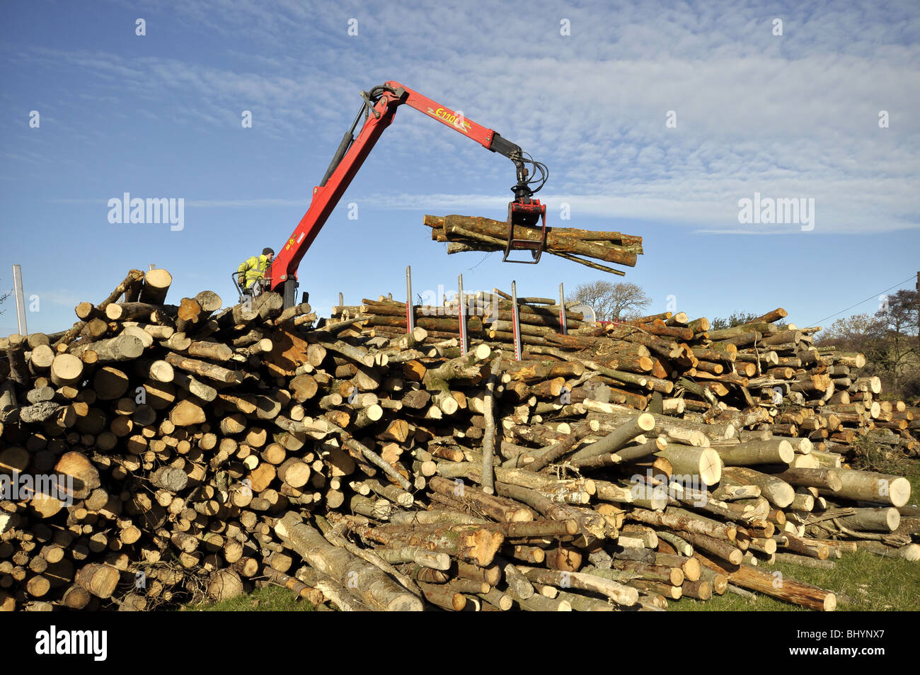 Timber loading hi-res stock photography and images - Alamy