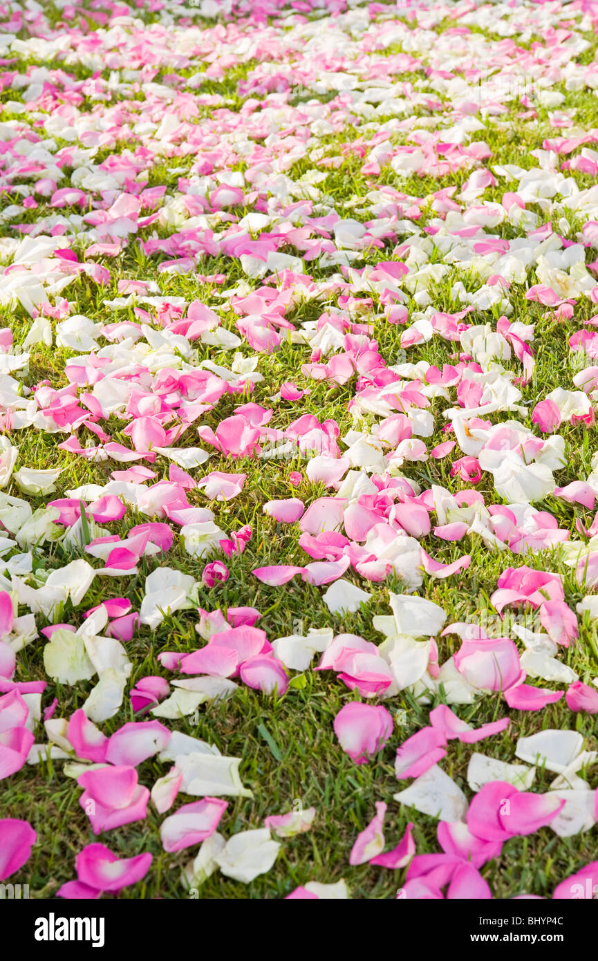 Detail of Wedding flowers on arch wreath Stock Photo - Alamy