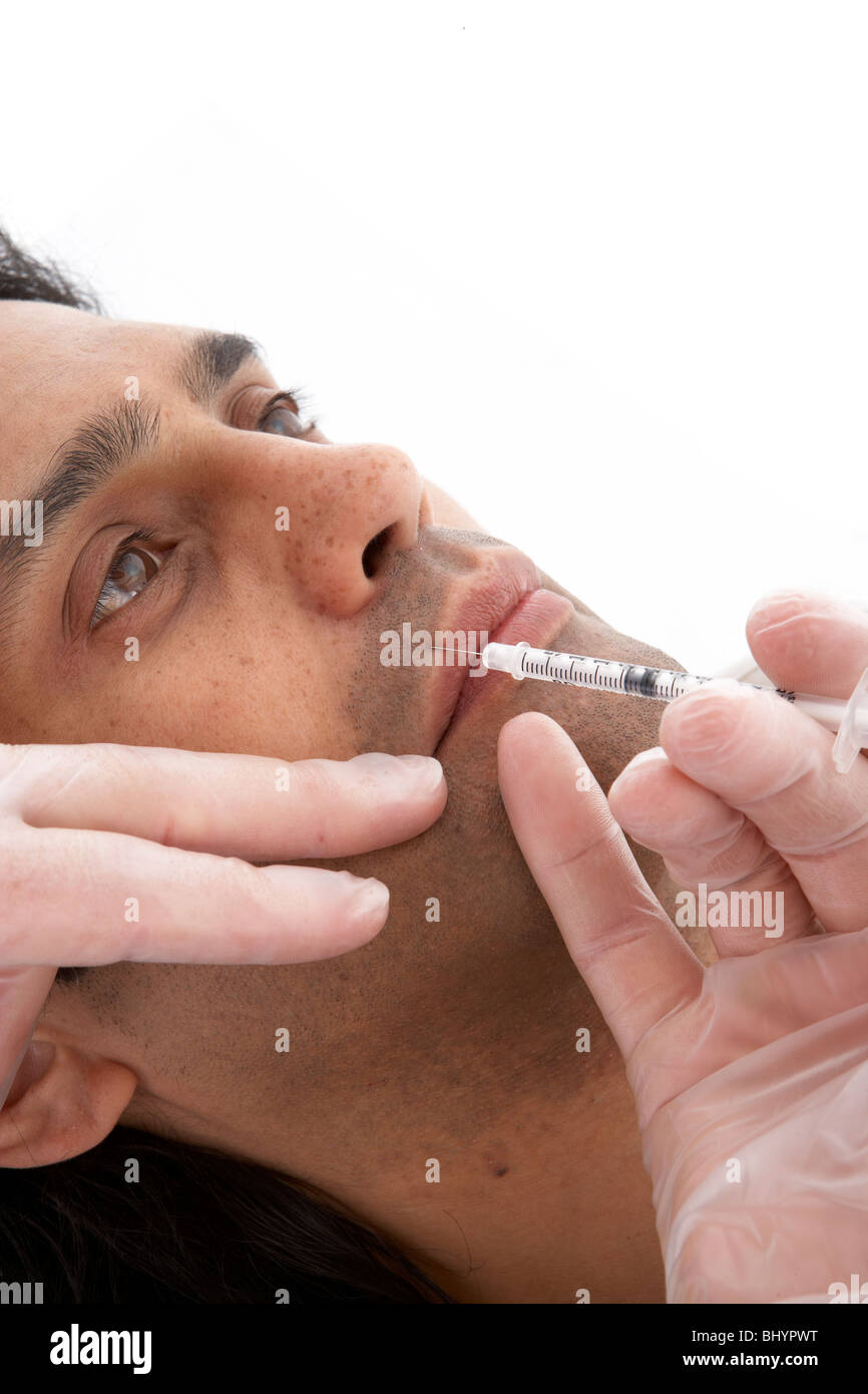 Frontalis m hi-res stock photography and images - Alamy