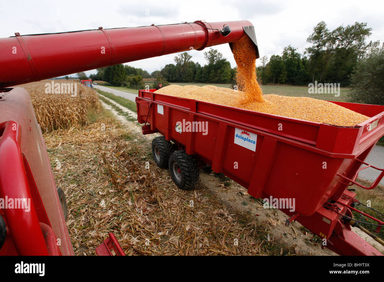 Corn silage hi-res stock photography and images - Alamy