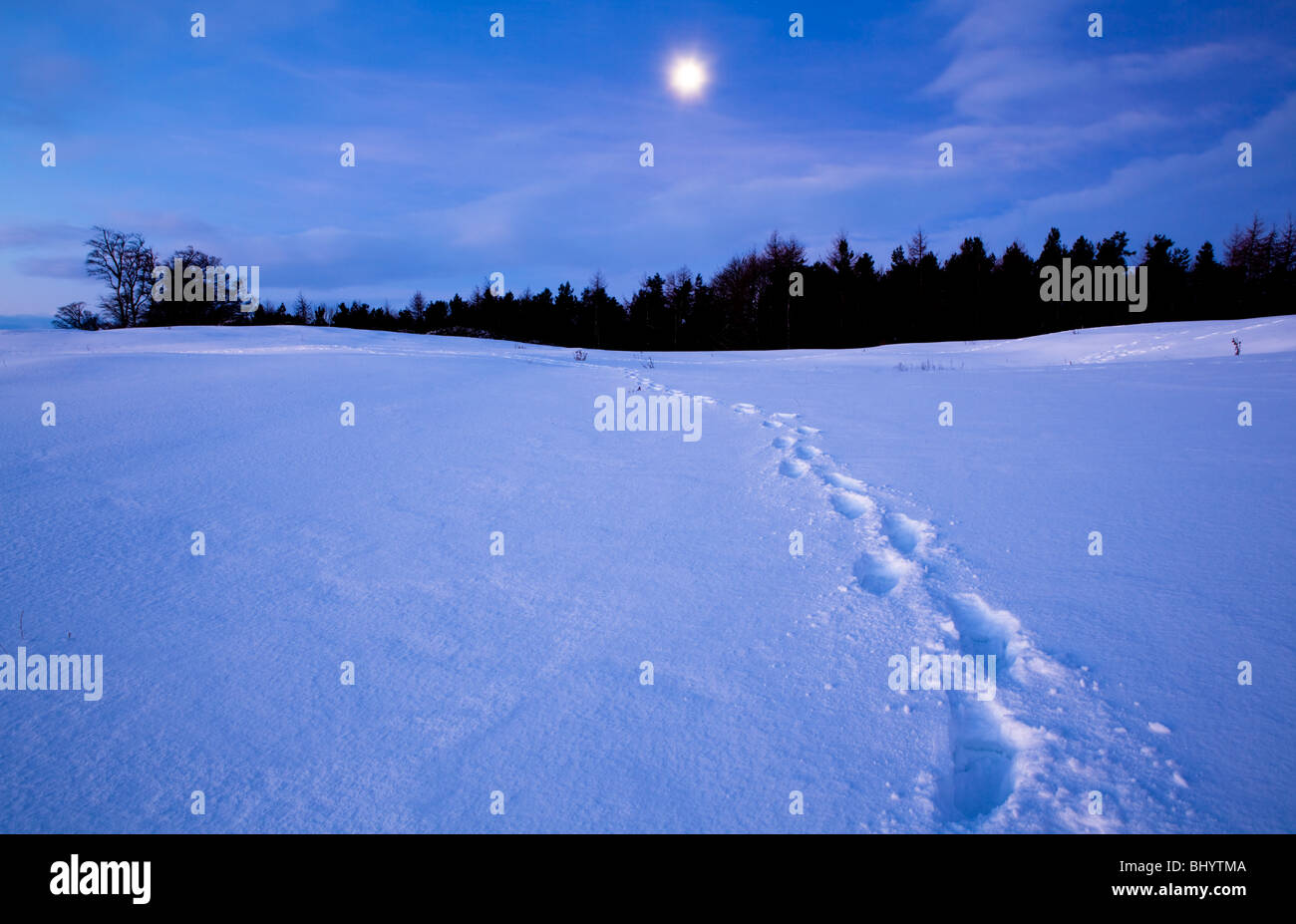 A snowy winter scene in the Scottish Borders Stock Photo - Alamy