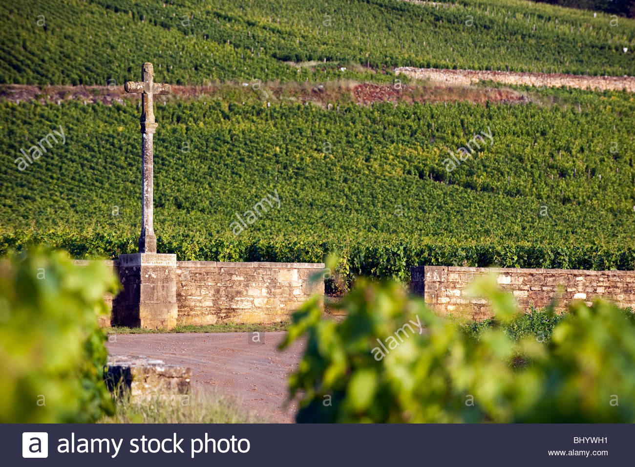 Romanee Conti High Resolution Stock Photography and Images - Alamy