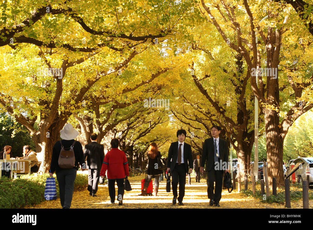 Tokyo (Japan) : Walk in a park in autumn Stock Photo - Alamy