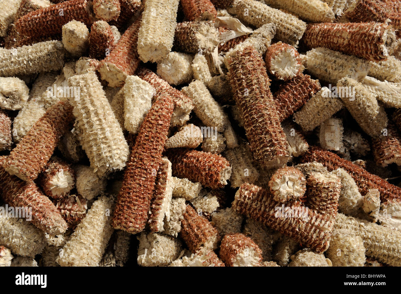Corncobs High Resolution Stock Photography and Images - Alamy