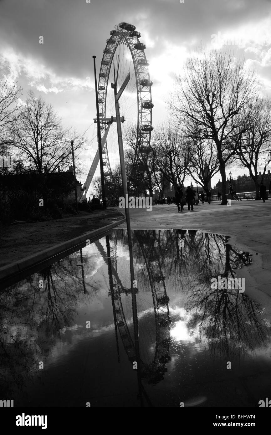 London Eye reflected in a puddle on Queen's Walk, South Bank, London ...