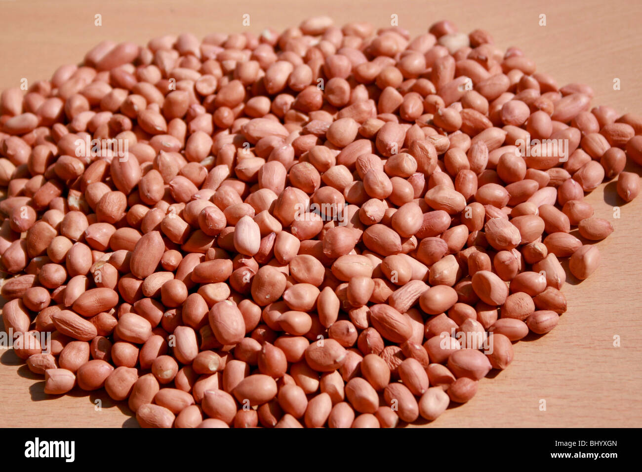 Groundnut field hi-res stock photography and images - Alamy