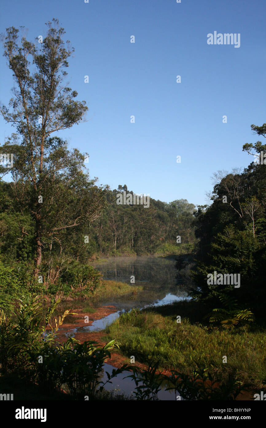 Rainforest And River At Andasibe-Mantadia NP, Madagascar Stock Photo ...