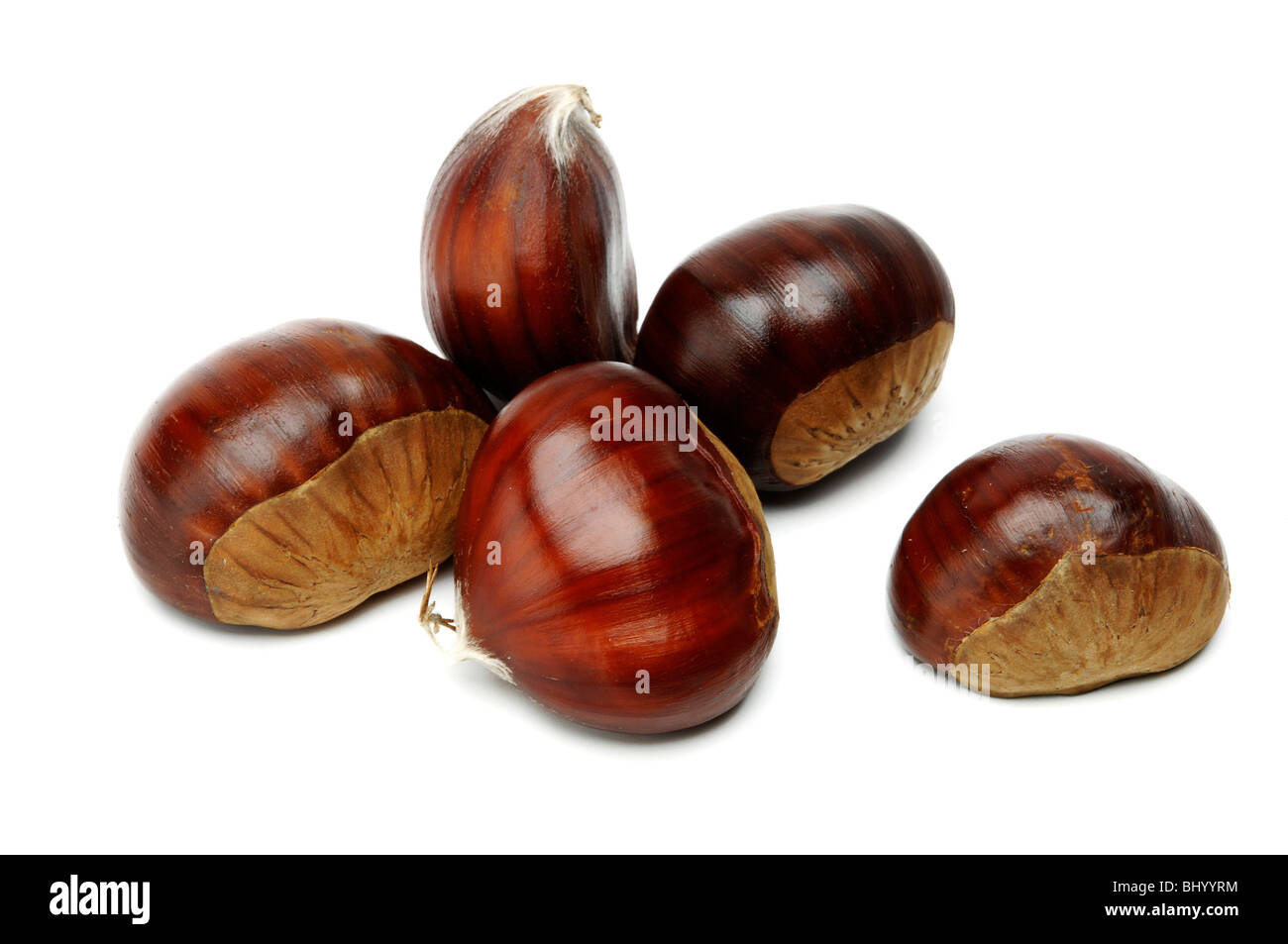 Sweet chestnuts on tree Cut Out Stock Images & Pictures - Alamy