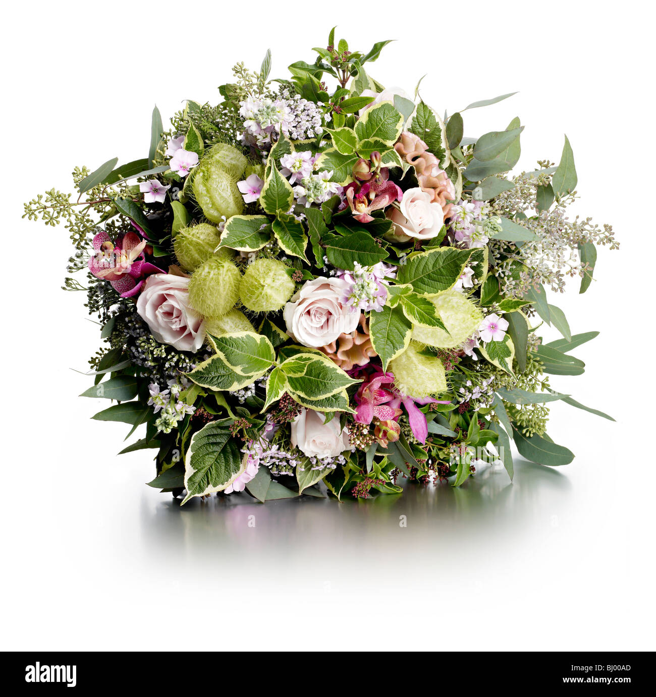 Variegated leaf hi-res stock photography and images - Alamy