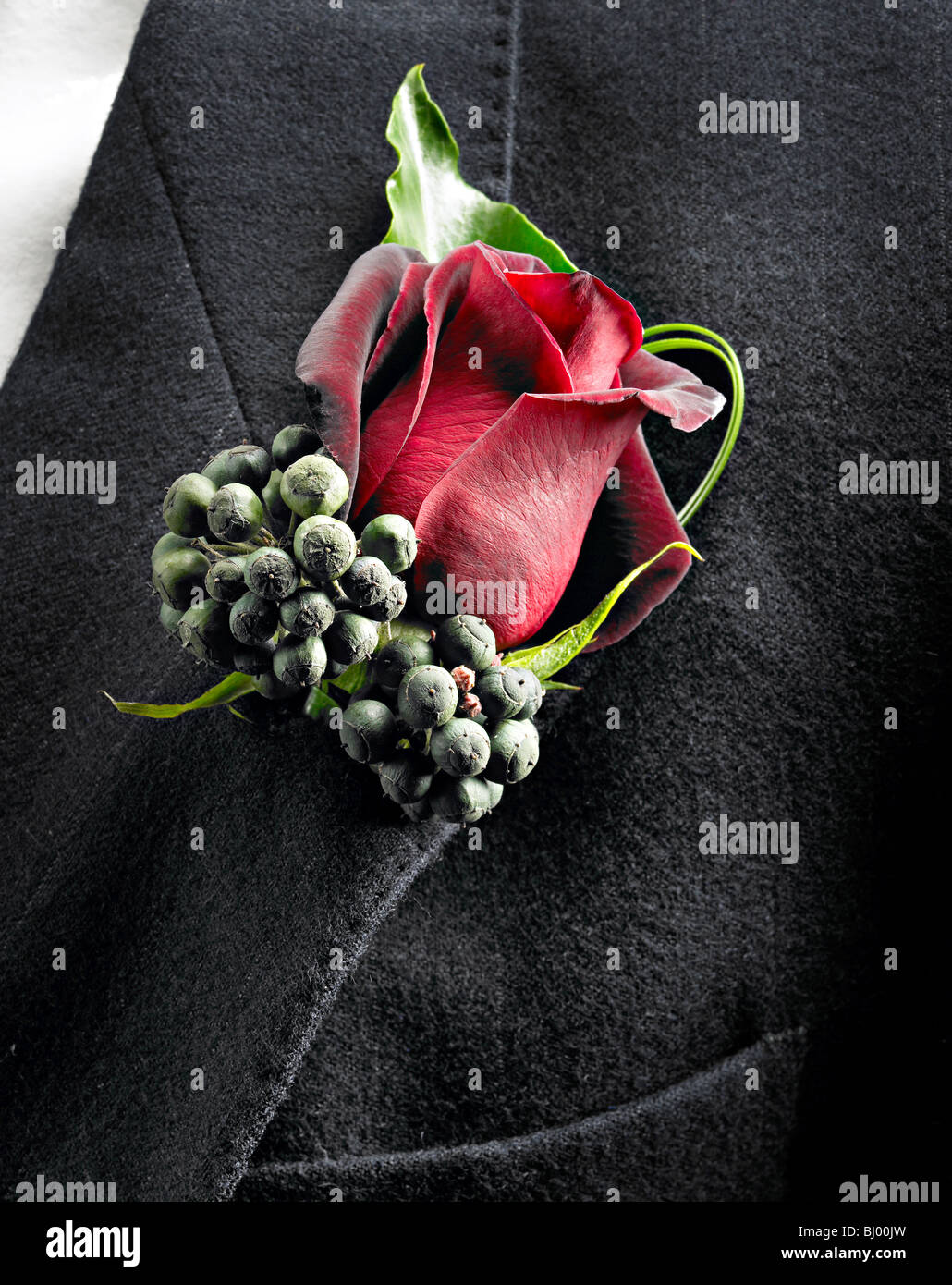 rose button hole Stock Photo - Alamy