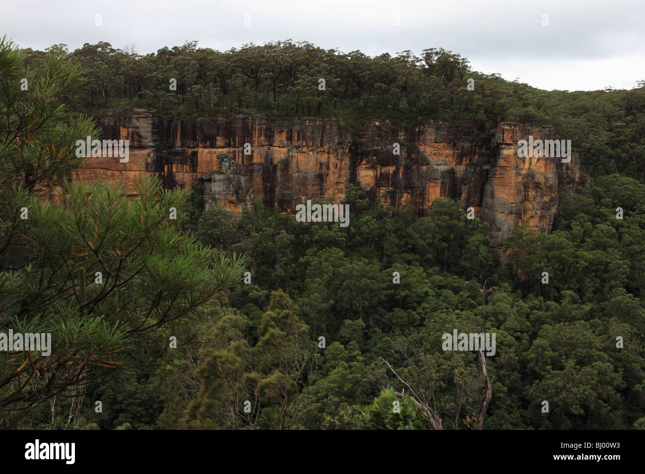 Morton National Park, NSW, Australia Stock Photo - Alamy