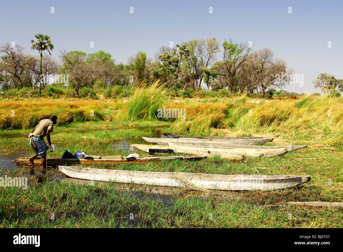 Botswana: The Okavango Delta (or Okavango Swamp Stock Photo - Alamy