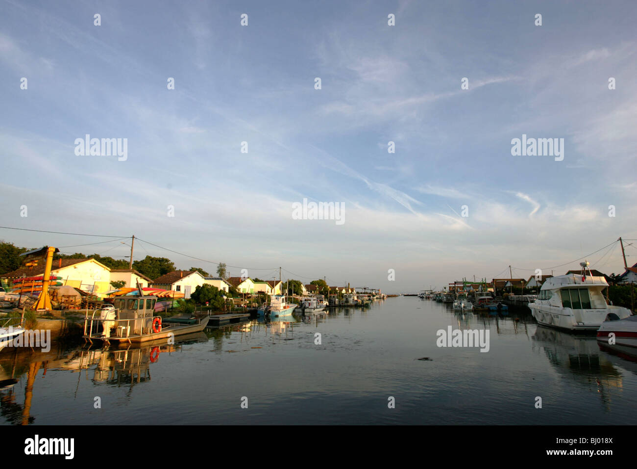 Ares (33): Oyster port Stock Photo - Alamy