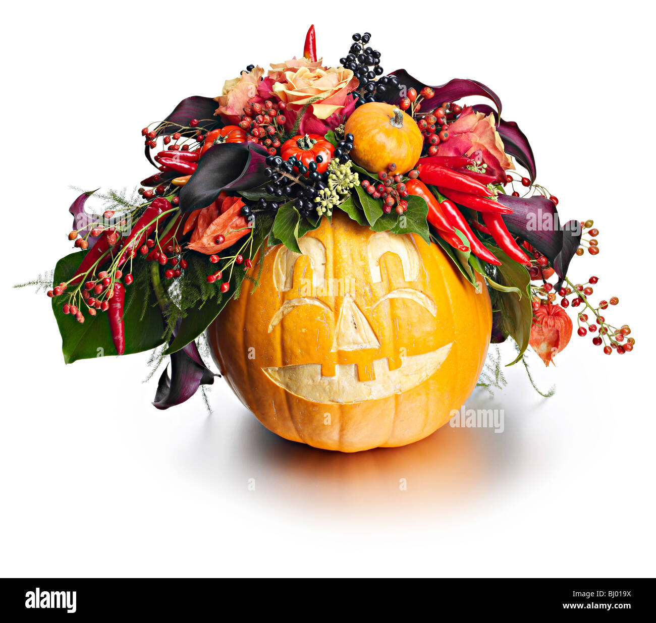 Pumpkin flower hi-res stock photography and images - Alamy