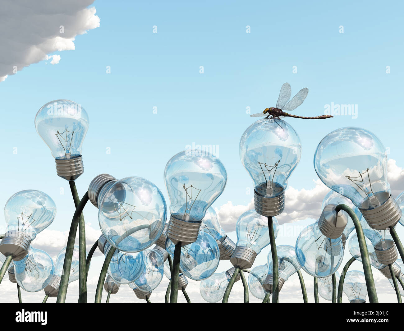 light bulb field Stock Photo - Alamy