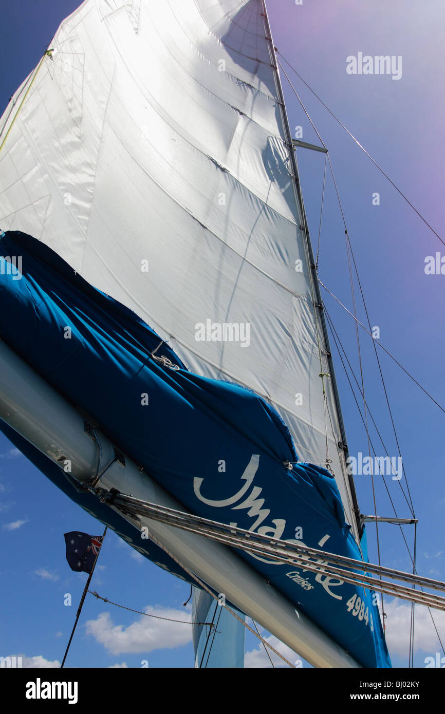 Sail of a Dolphin watching boat in Port Stephens, NSW Stock Photo - Alamy