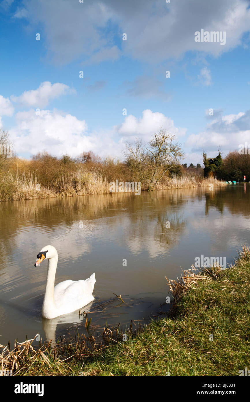 Cambridge England River Swan High Resolution Stock Photography and ...