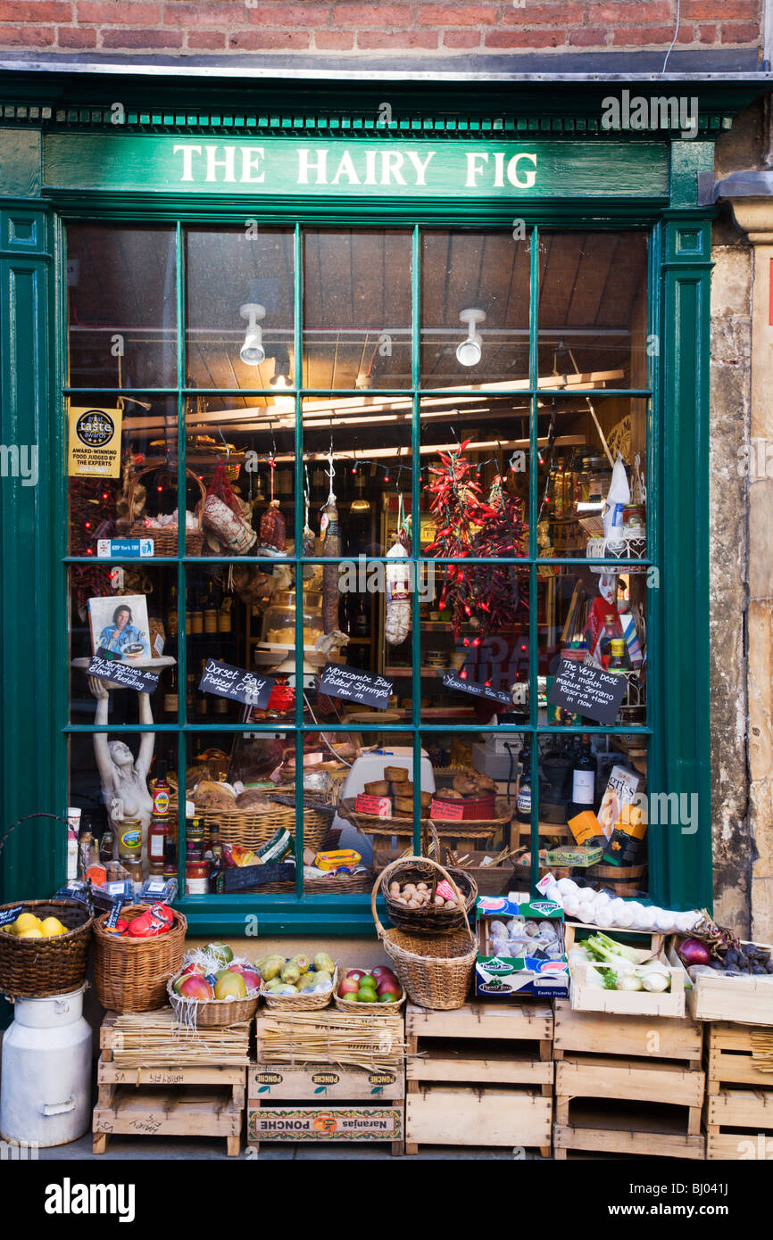The Hairy Fig Shop on Fossgate York Yorkshire England Stock Photo - Alamy
