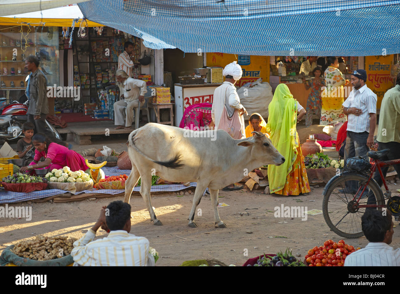 market local vegetables street bundi rajasthan india Stock Photo - Alamy
