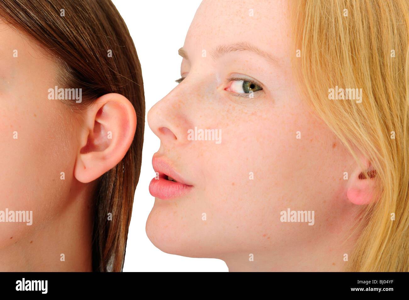 Female teens whispering hi-res stock photography and images - Alamy