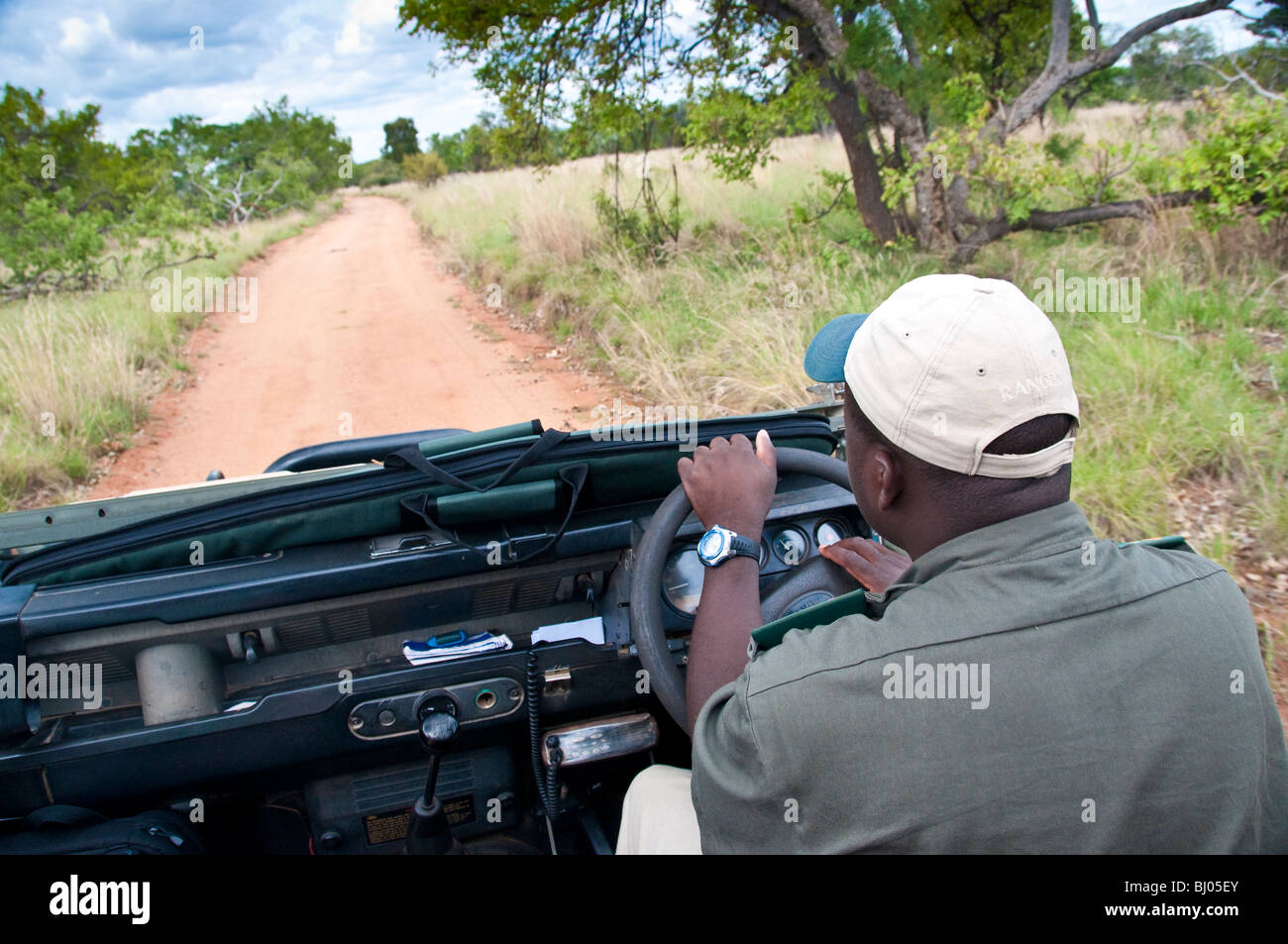 Game Drive/Safari with Ranger Stock Photo - Alamy