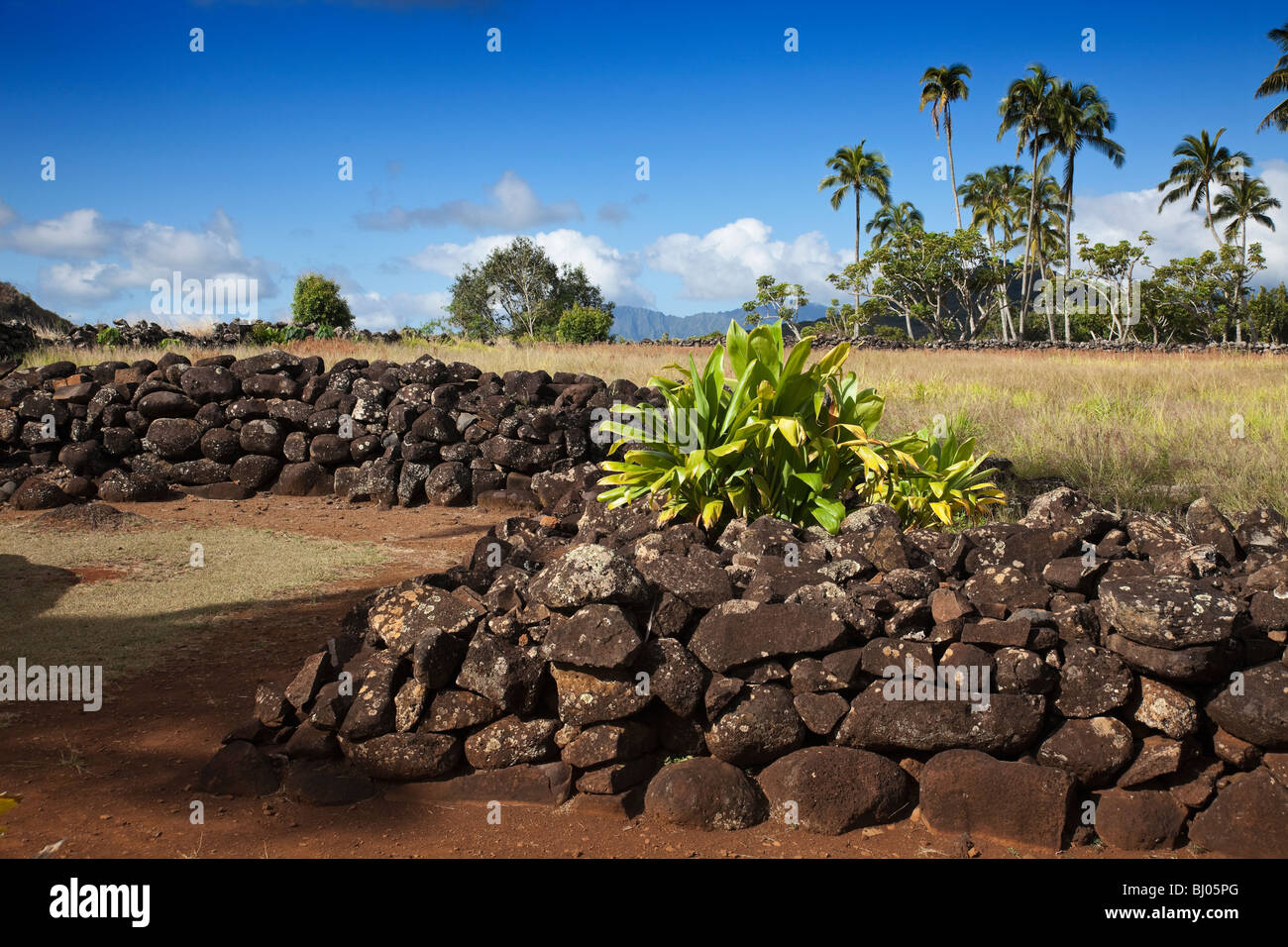 Kauai temple hi-res stock photography and images - Alamy