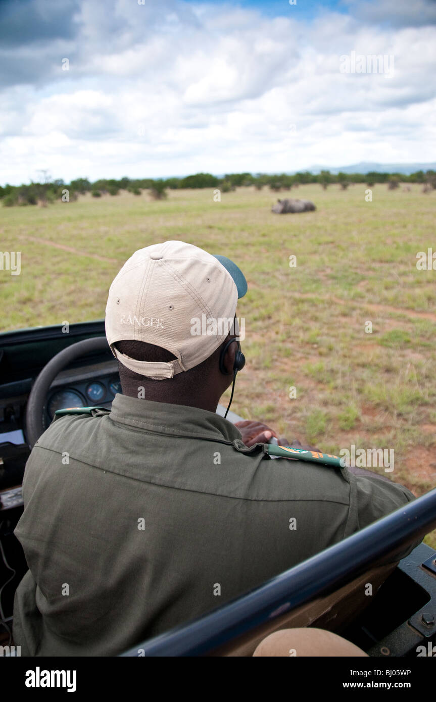 Game Drive/Safari with Ranger Stock Photo - Alamy